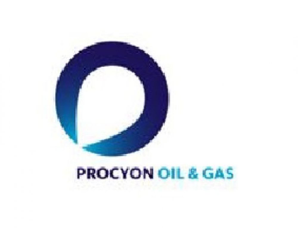 PETRONAS Energy Trading - Pro Drive IT Ltd